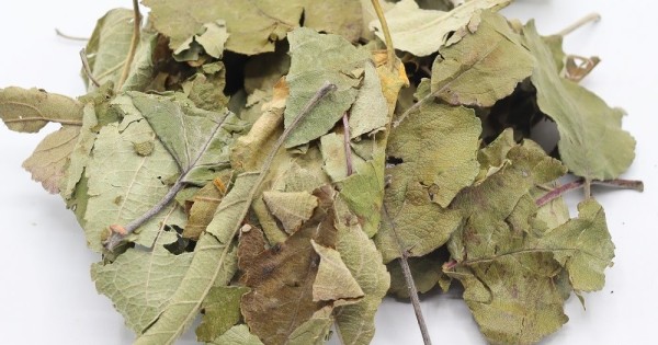 Feuille de pommier Herbimals grossière - Cool4pets - boutique naturelle ...